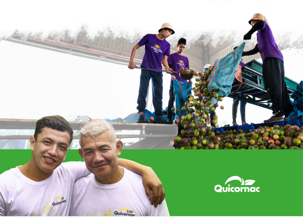 about us english - Quicornac