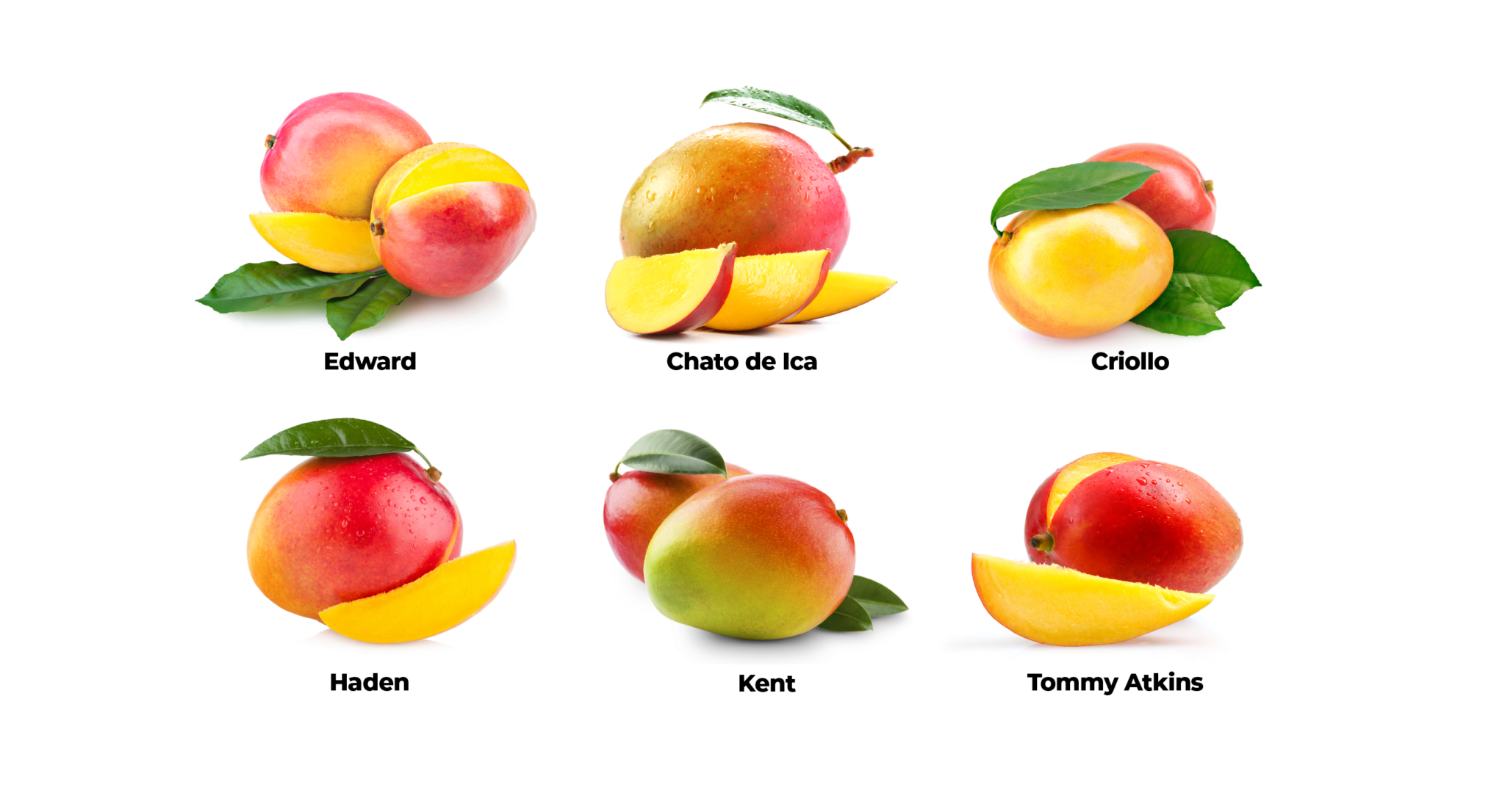 Products - Quicornac